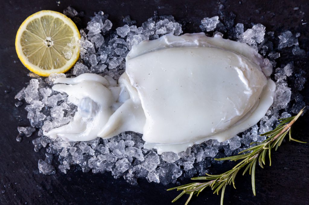 Sípia neta | Peixos Povill